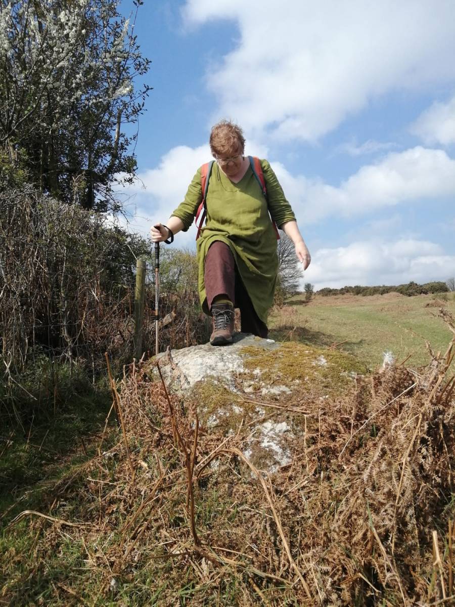 Walk Report: Hergest Ridge Erratic – Walkspace